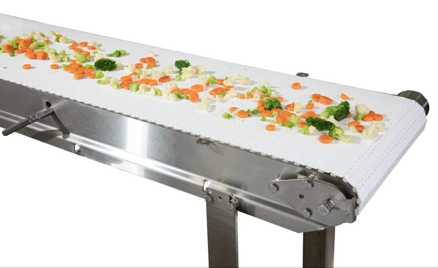 Food Grade Conveyor Belts - Dorner Conveyors